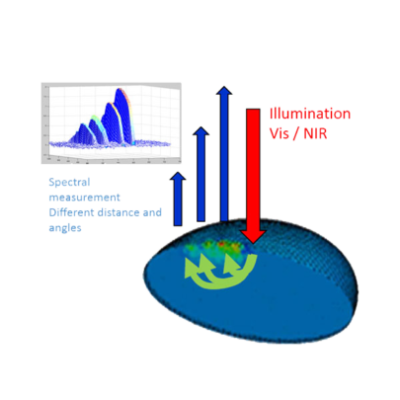 Technology at Proditec